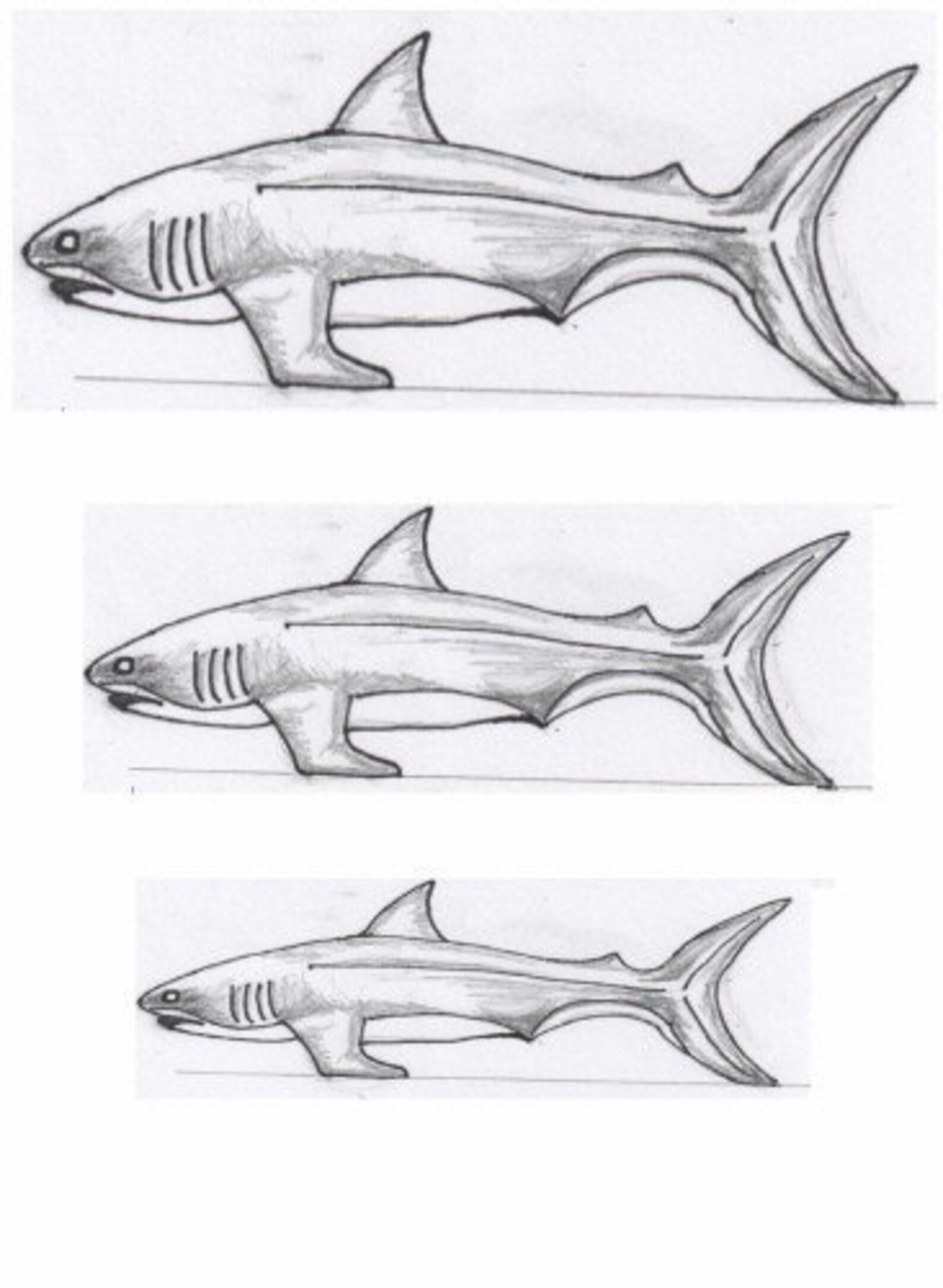 Shark Family of Unfinished Pine Cutouts - Etsy