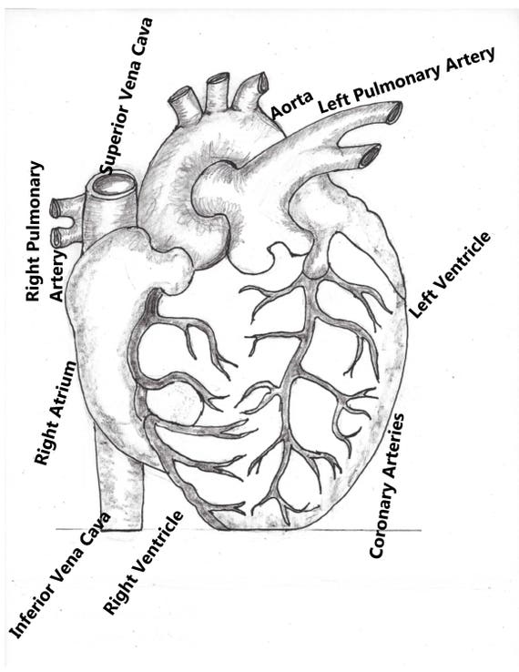 Unfinished Heart Puzzle