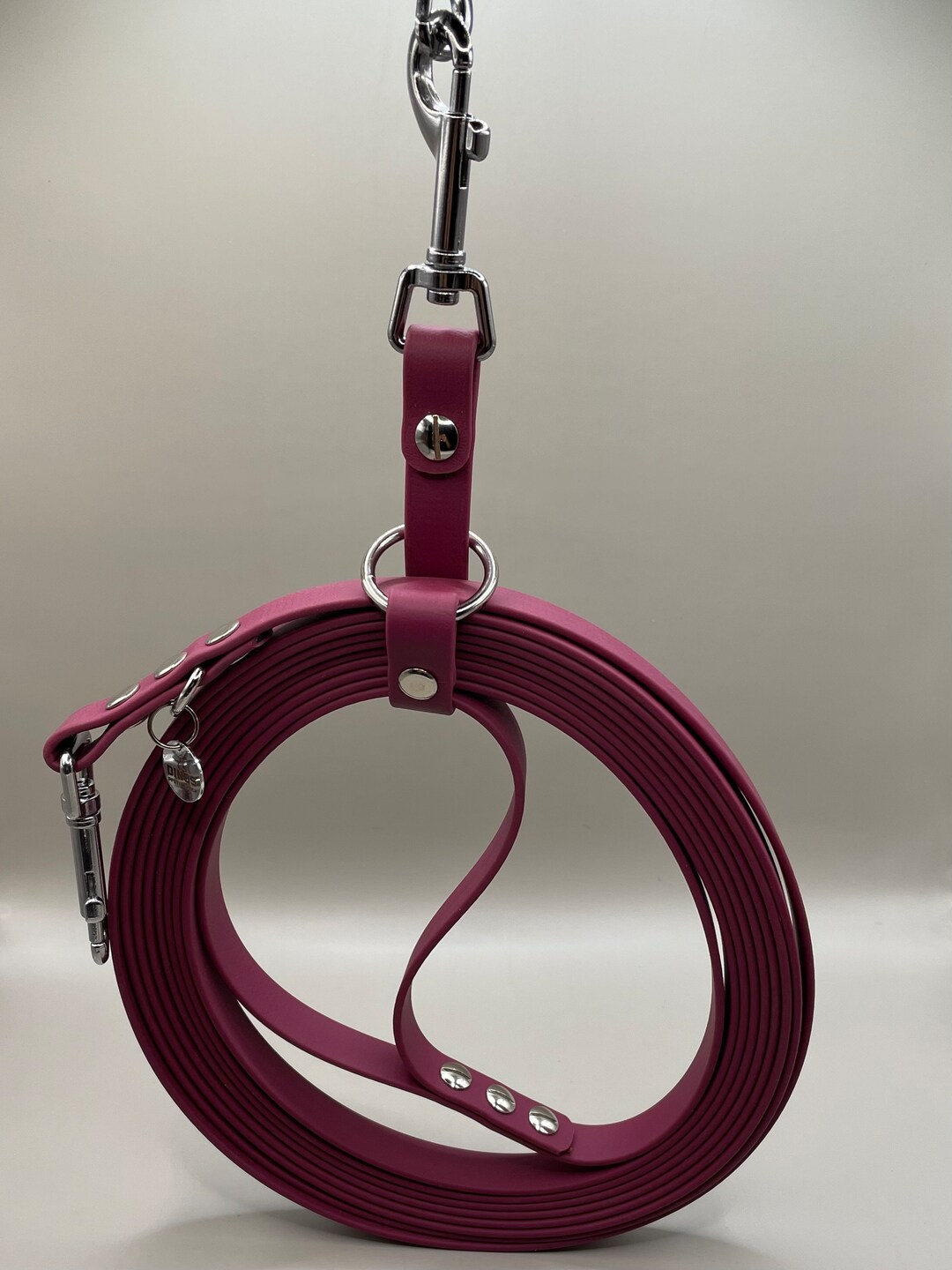 Towline Holder Made of Biothane® Material - Etsy