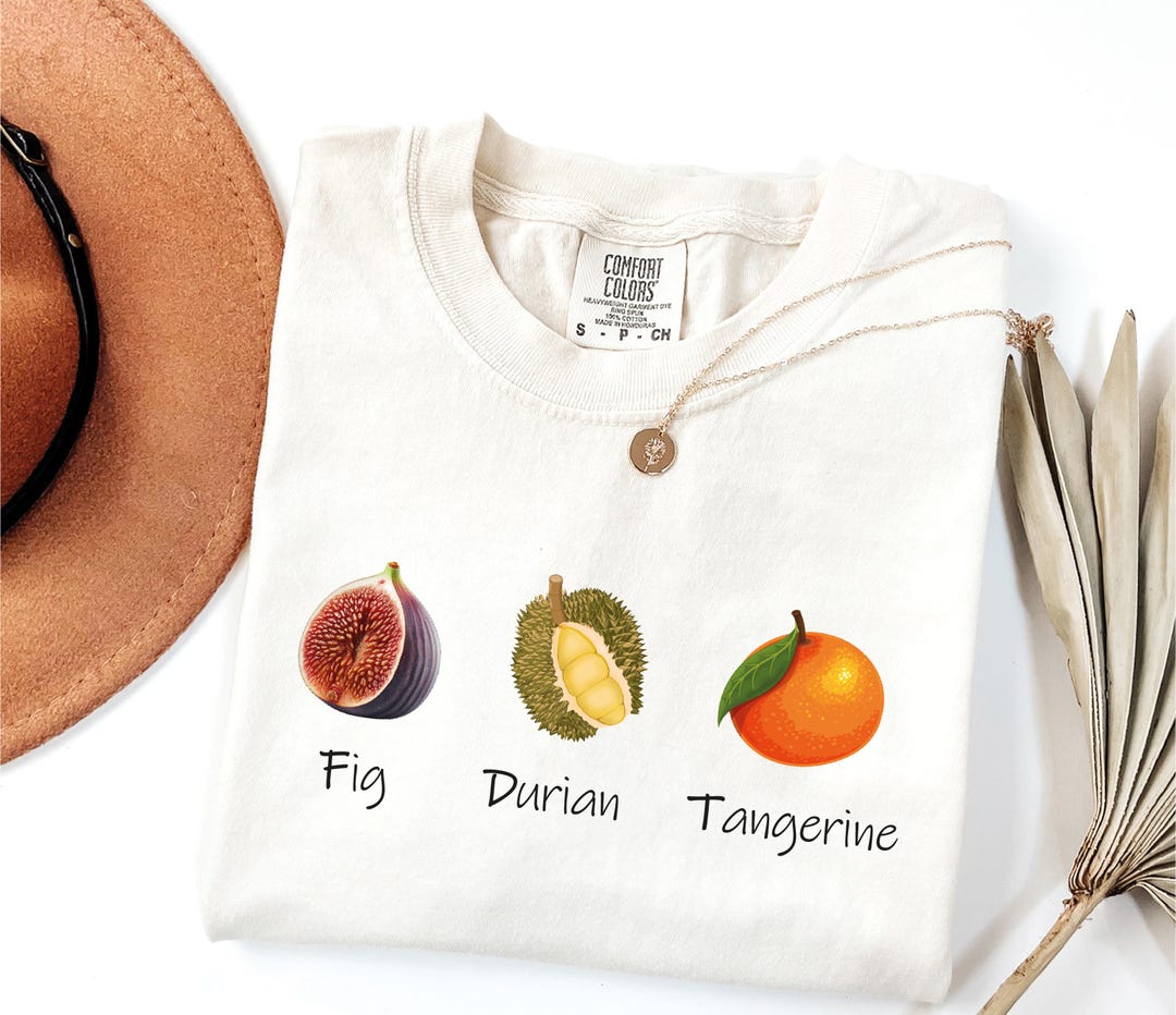 Subtle FDT Comfort Colors Shirt, Political Protest Tee, Anti Trump ...