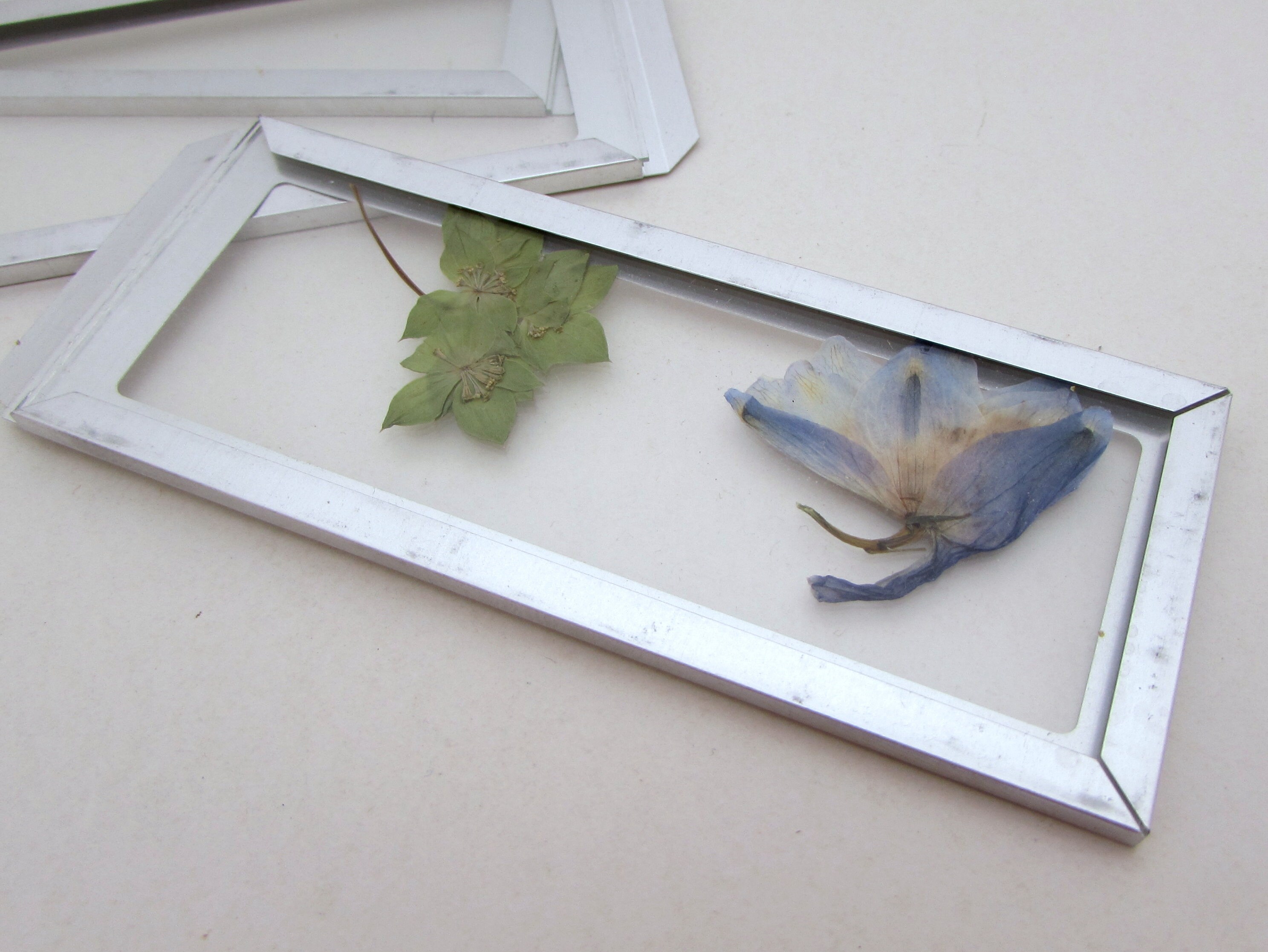 5 long glass slide frames glass frames empty frames | Etsy