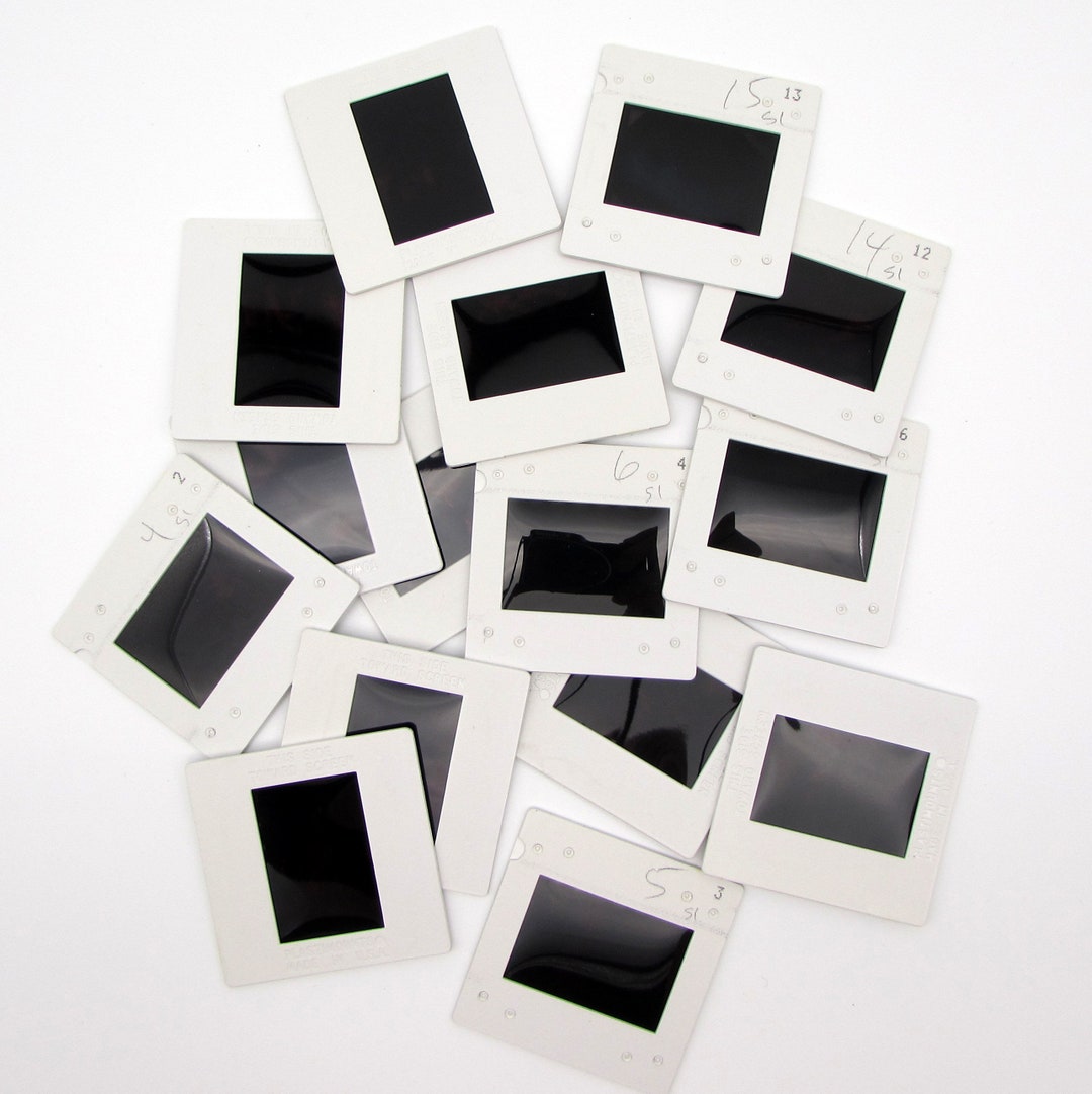 15 Pig Dissection Vintage Photo Slides Biology Animal Anatomy Vintage ...