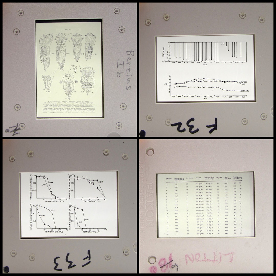 90 CHARTS and DIAGRAMS - 35mm Slides - Vintage Photo Slides - Charts ...