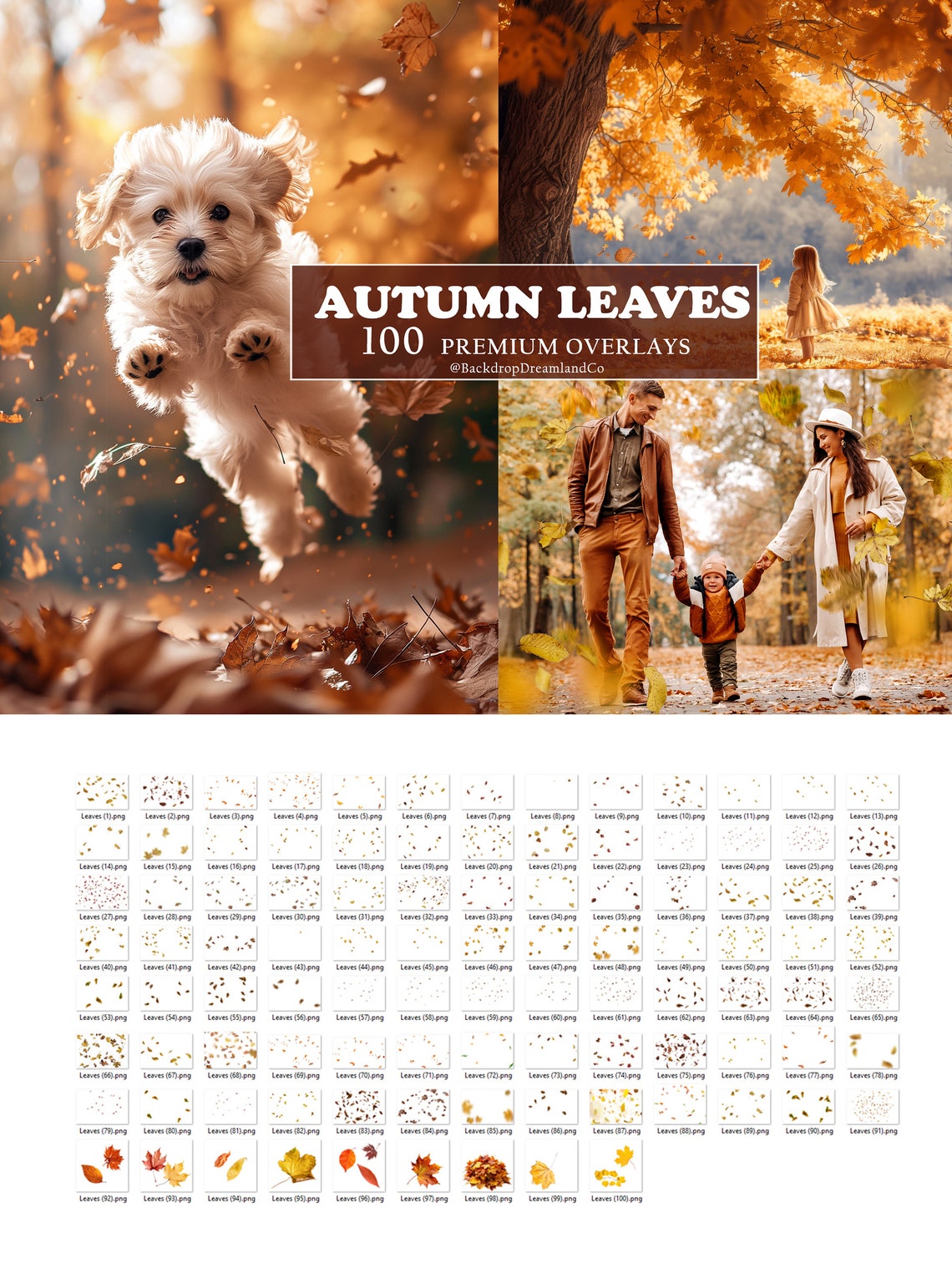 100 AUTUMN LEAVES Overlays Photoshop Edit Falling Leaves Overlay ...