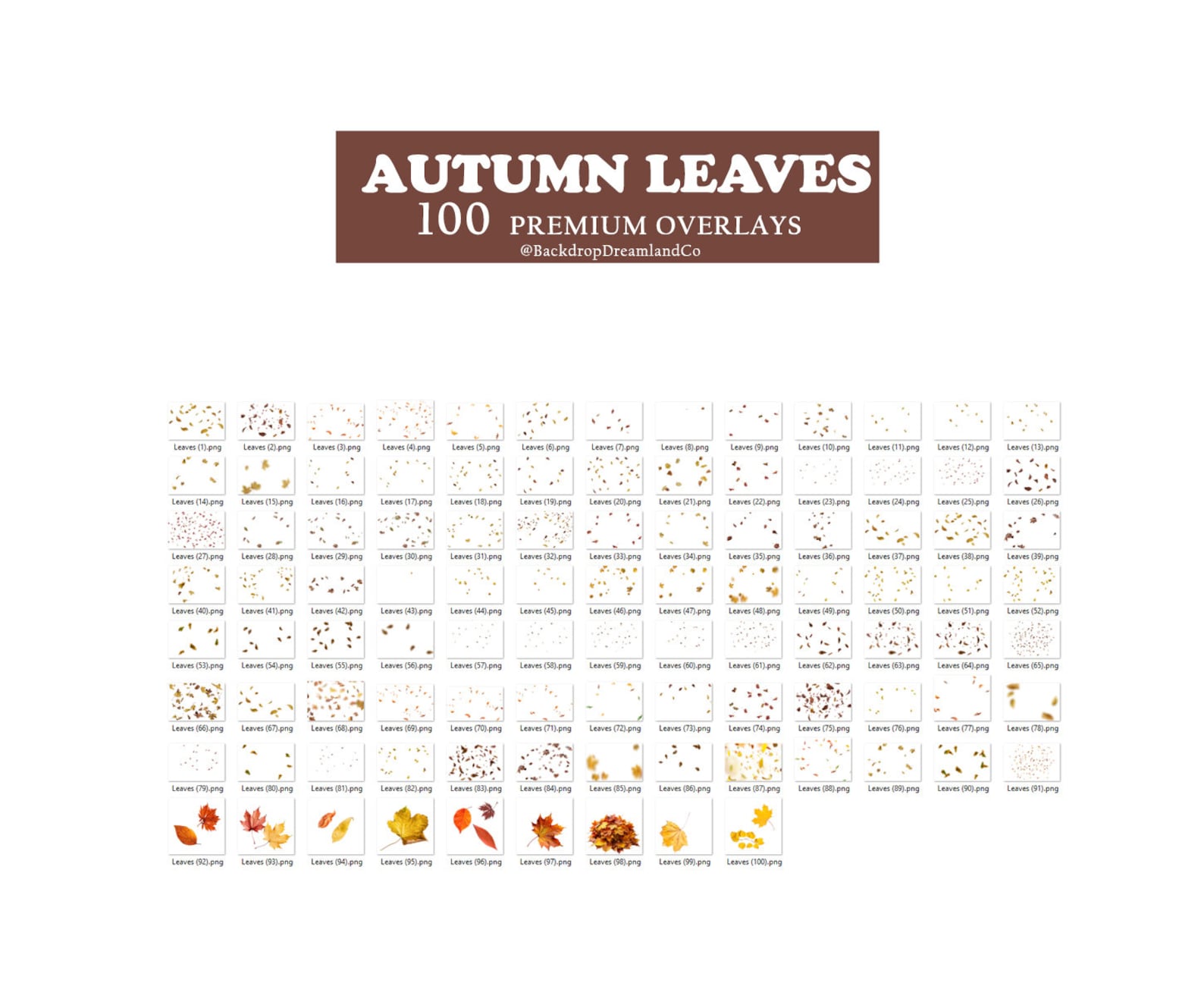 100 AUTUMN LEAVES Overlays Photoshop Edit Falling Leaves Overlay ...