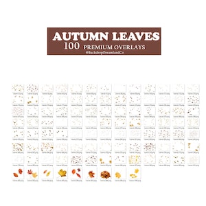 100 AUTUMN LEAVES Overlays Photoshop Edit Falling Leaves Overlay ...