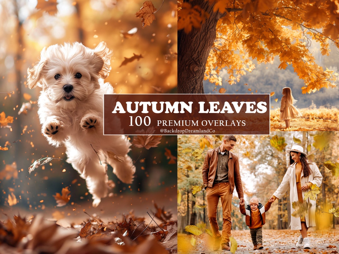 100 AUTUMN LEAVES Overlays Photoshop Edit Falling Leaves Overlay ...