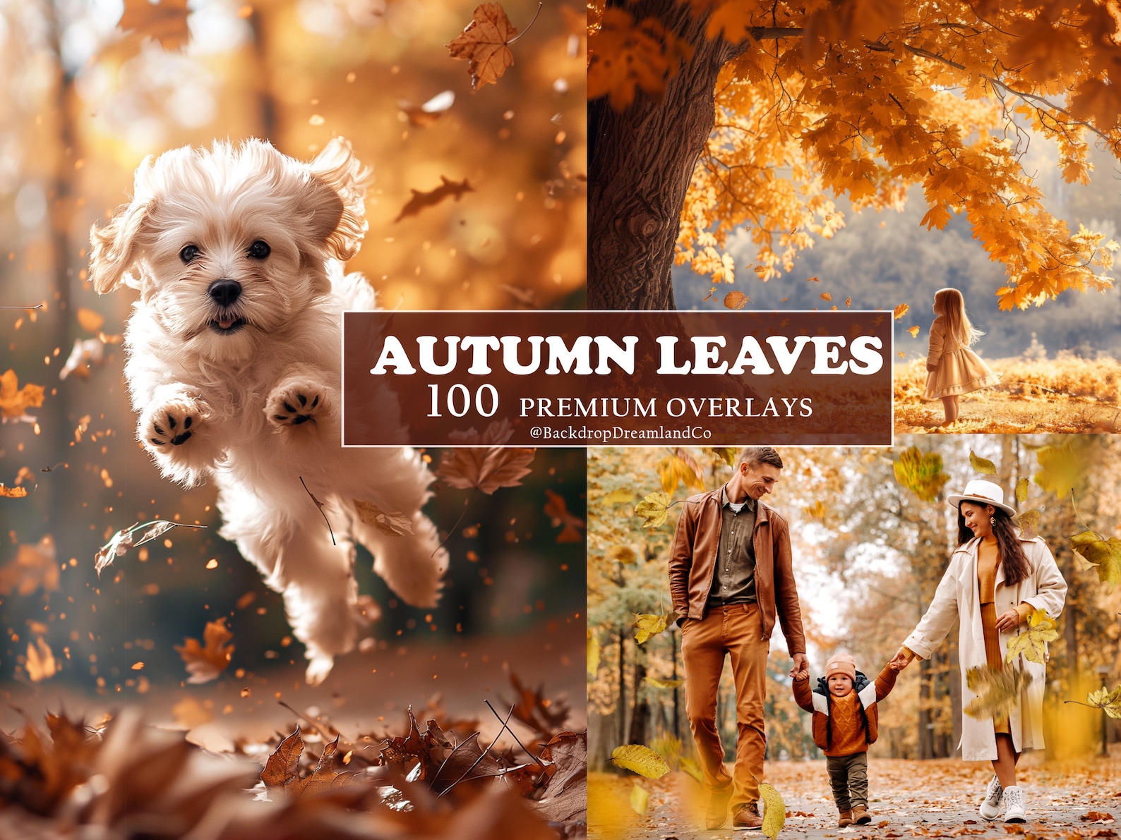 100 AUTUMN LEAVES Overlays Photoshop Edit Falling Leaves Overlay ...