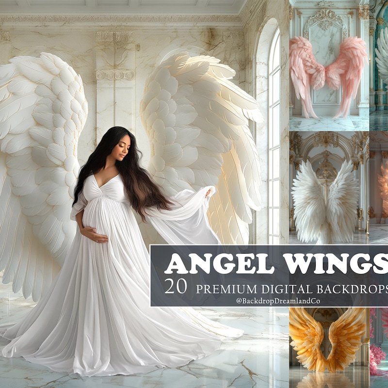 Pink Angel Wings Backdrop - Etsy