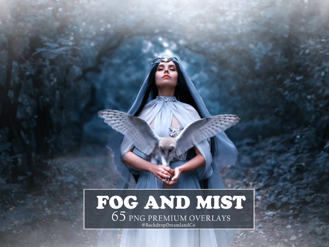65 Fog Overlays, Photoshop Mist Overlays, Fog Effect PNG, Smoke Digital ...