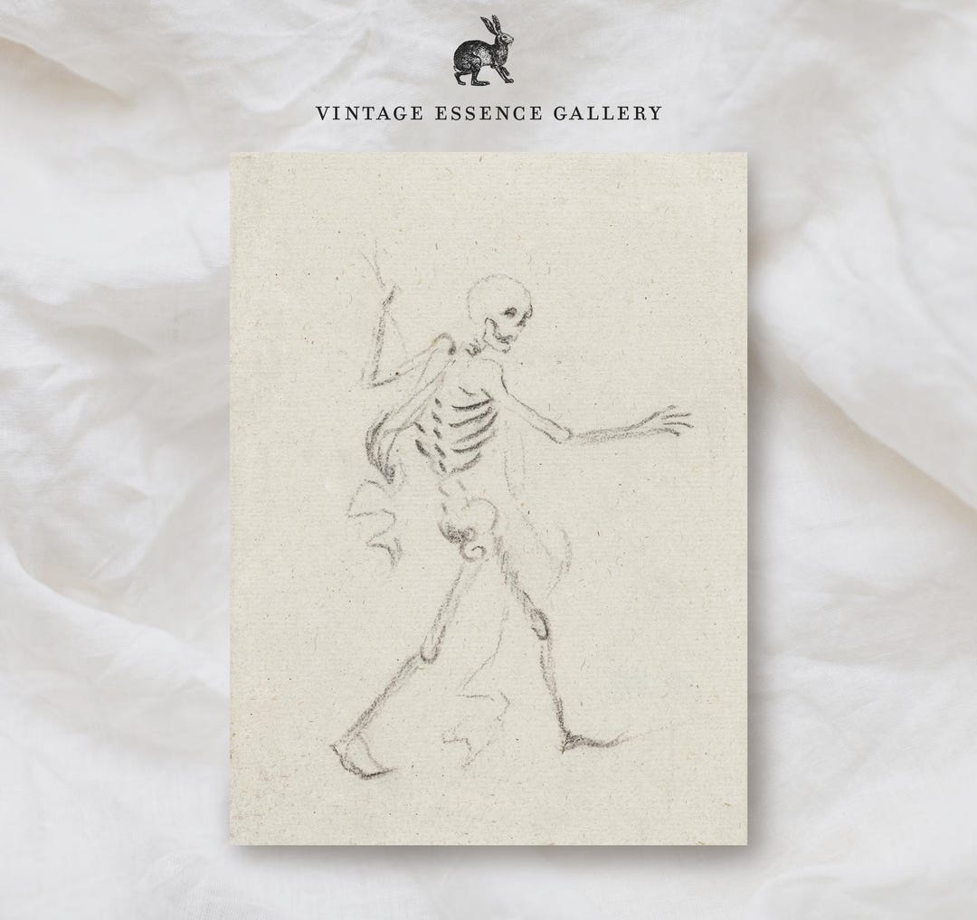 Vintage Halloween Skeleton Print Minimalist Sketch Art PRINTABLE ...