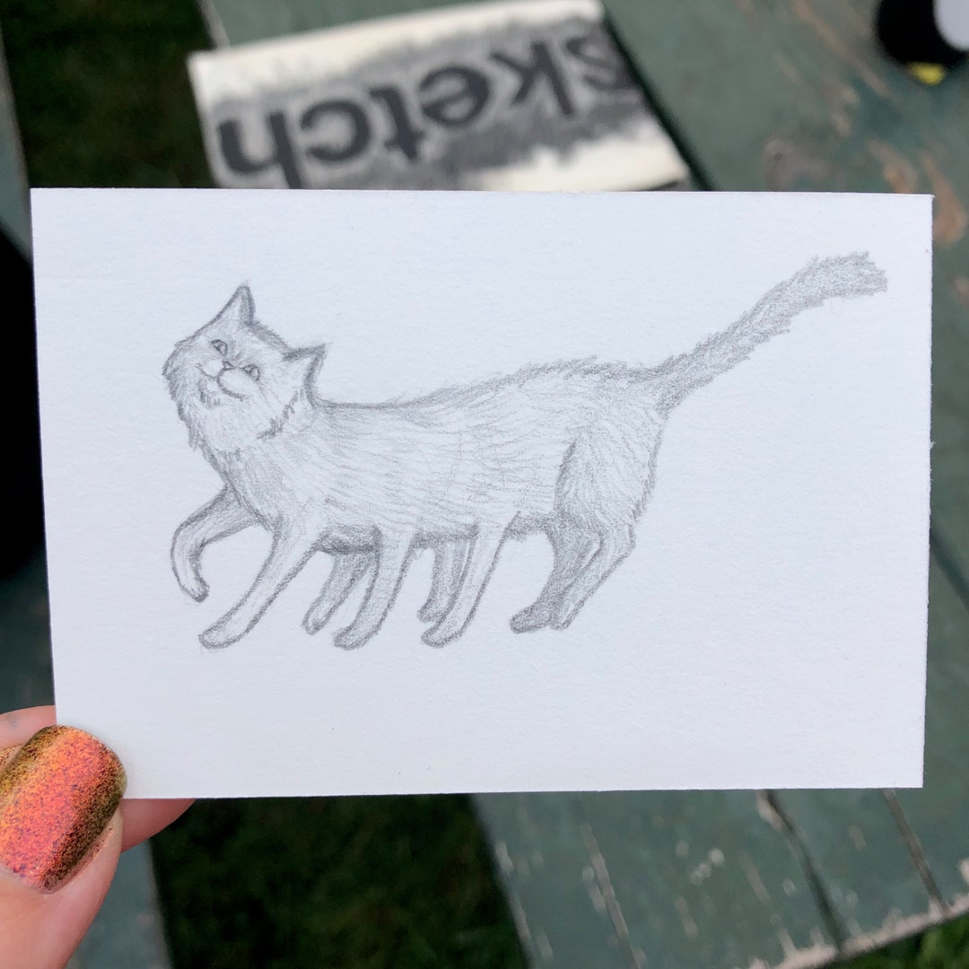 Botober 2021 - 8-legged Cat Miniature Drawing - Etsy