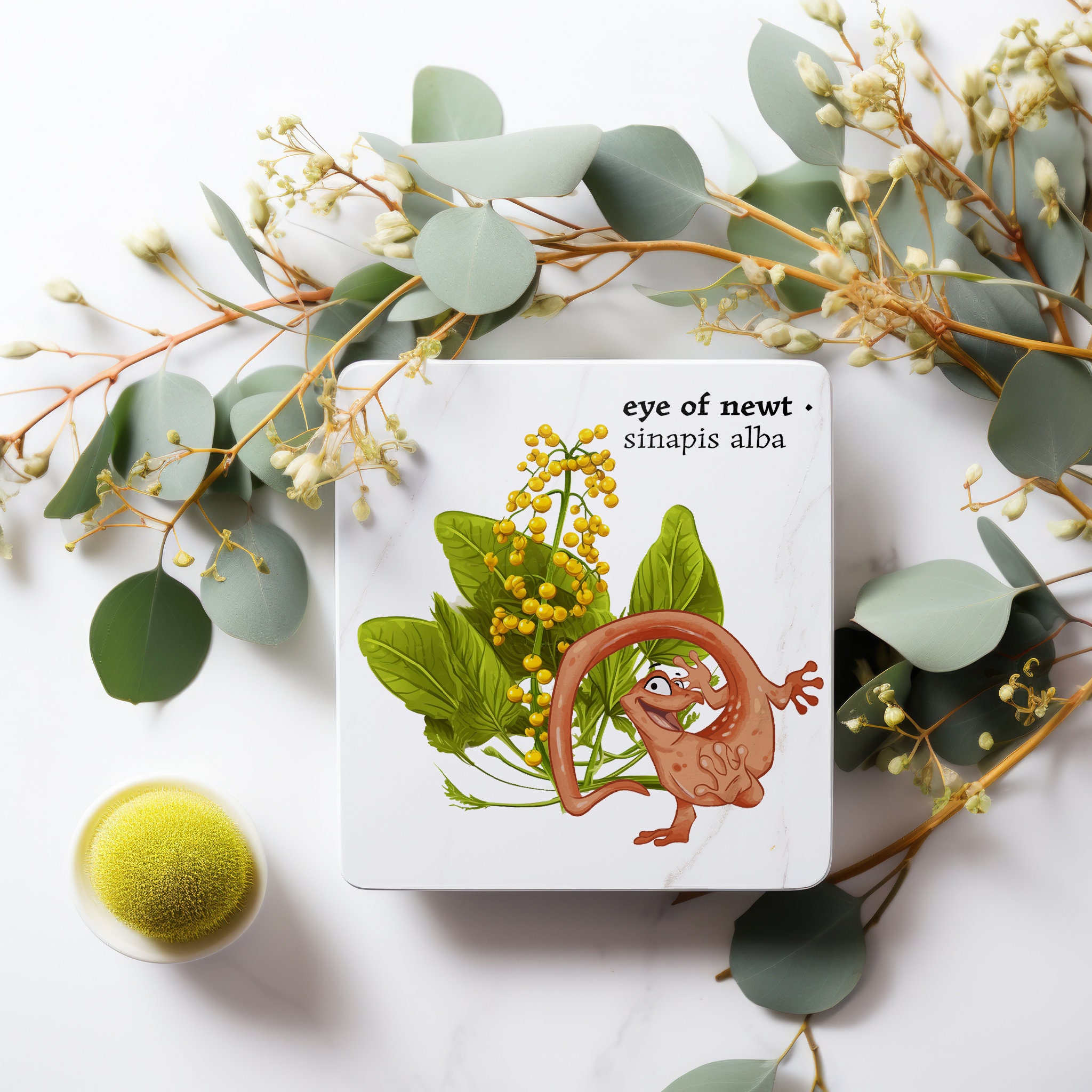 Eye of Newt Luck Spell Ingredient With Newt Familiar, Shakespeare's ...