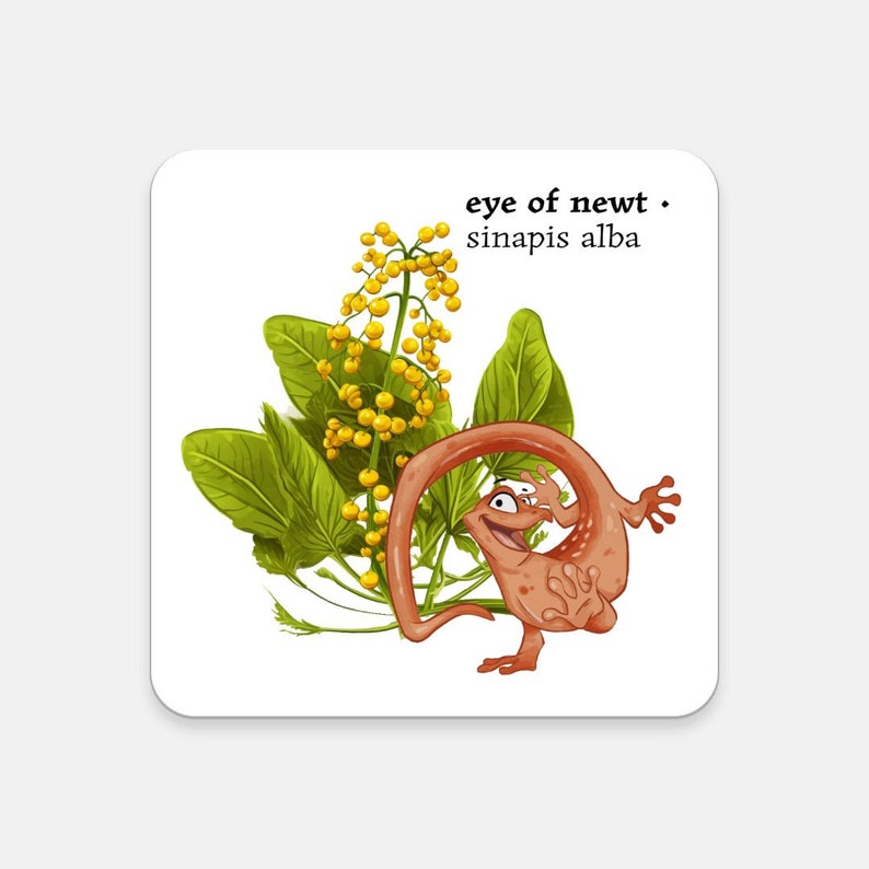 Eye of Newt Luck Spell Ingredient With Newt Familiar, Shakespeare's ...