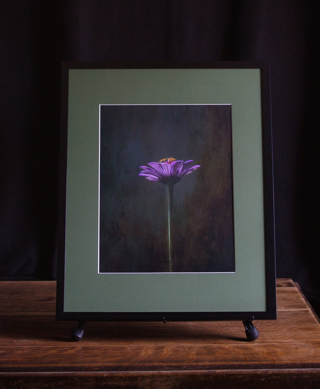 One Single Flower...my Favorite Photograph of a Flower in My Wife's ...