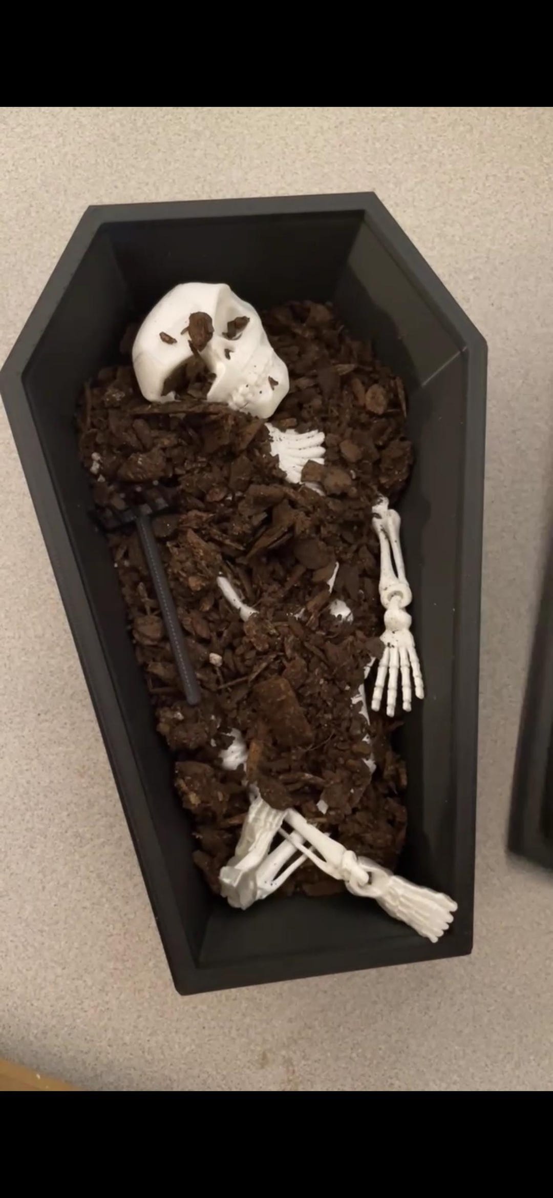 Coffin With Skeleton, Tombstone, Dirt, and a Rake - Etsy