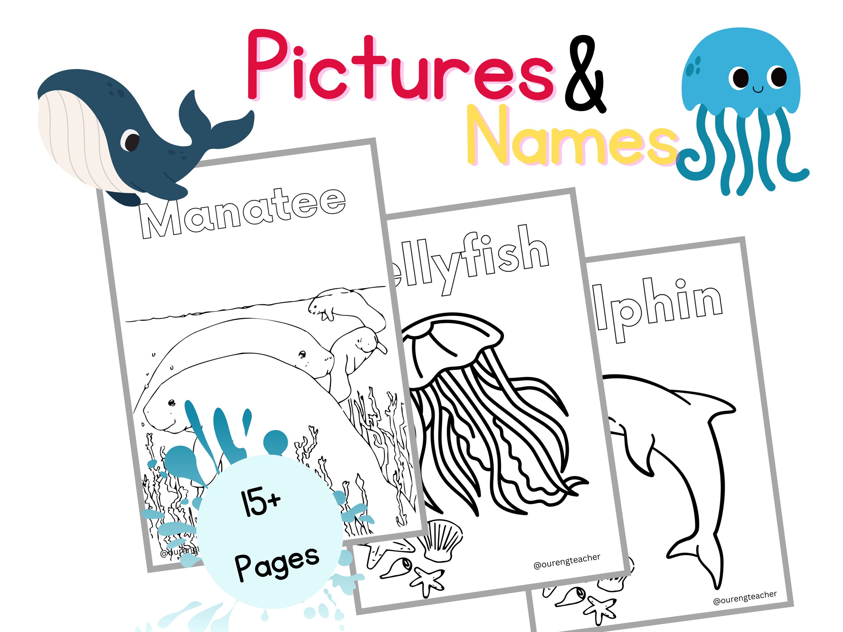 Ocean Animals Coloring Book - Etsy
