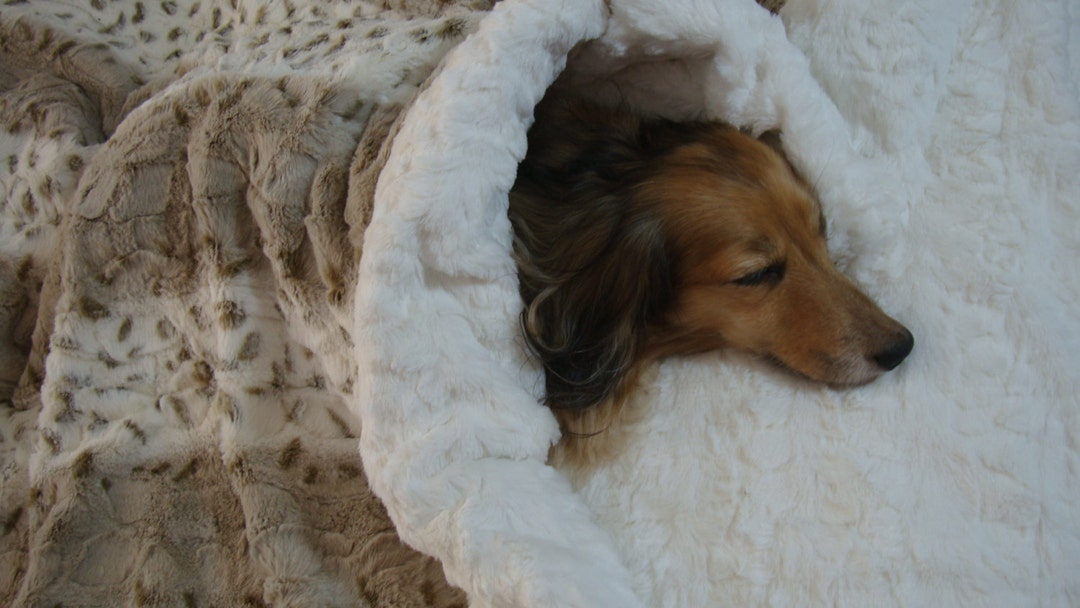 Personalized Plush Minky Fur Dog Bed – Snuggle Sack, 18" X 20" - Etsy