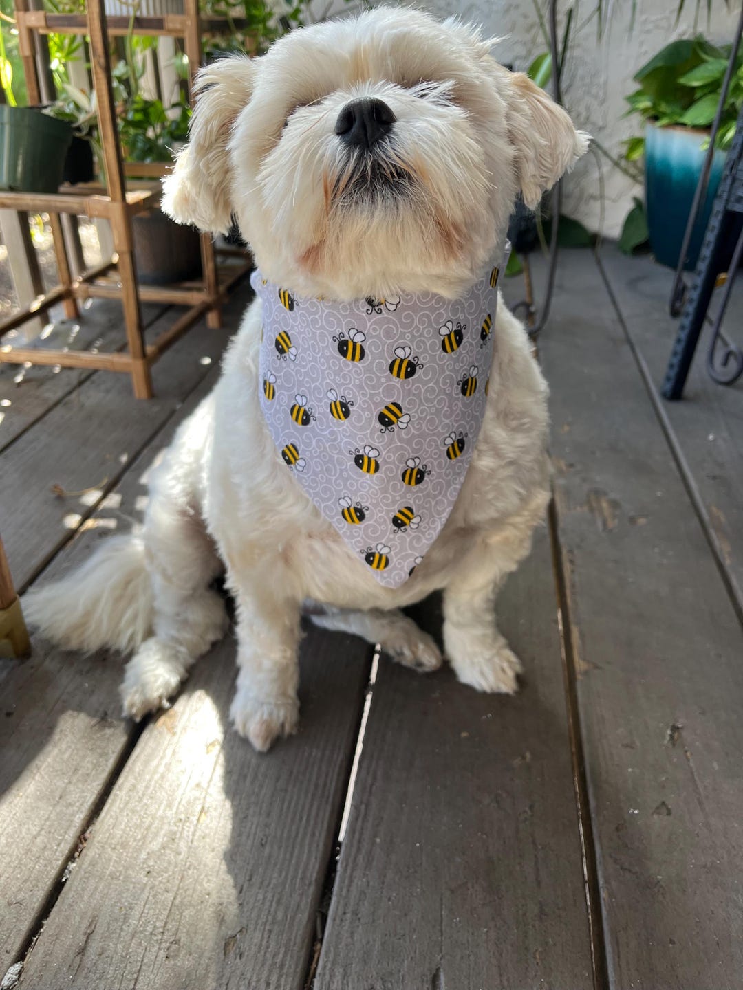 Reversible Bumble Bee Dog Bandana: Elastic Fit, Personalized Pet ...