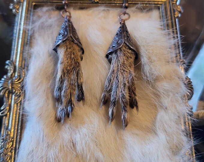 Squirrel Feet Paw Earrings Taxidermy Earring Death Enthusiast Jewelry ...