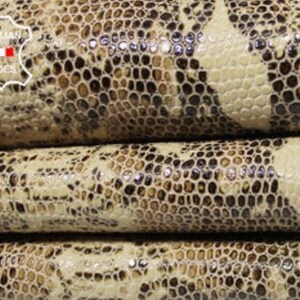 Large Pair of BEIGE PYTHON SNAKE Printed Textured Italian - Etsy