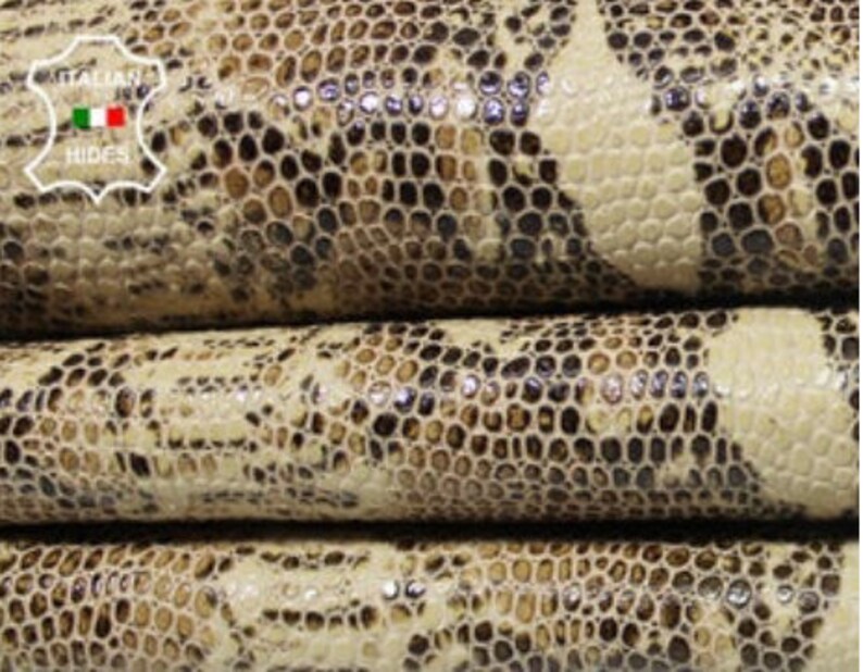 Large Pair of BEIGE PYTHON SNAKE Printed Textured Italian - Etsy