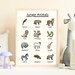 Jungle Animals Poster, Educational Poster, Preschool Classroom Decor ...