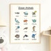 Ocean Animals Poster, Educational Poster, Preschool Classroom Decor ...