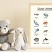 Ocean Animals Poster, Educational Poster, Preschool Classroom Decor ...