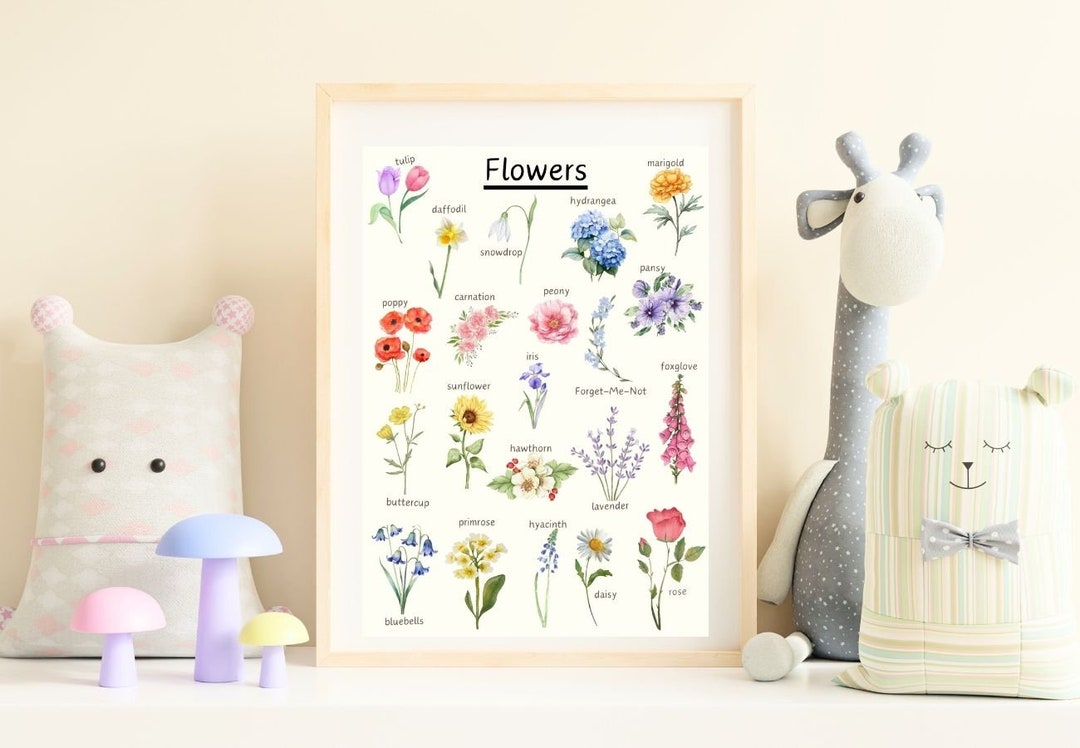 Flowers Watercolour Poster, Educational Poster, Preschool Classroom ...