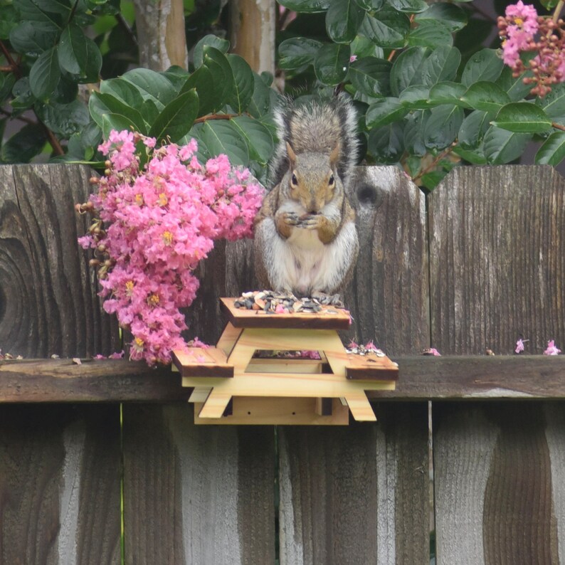 Squirrel Picnic Table With Mounting Kit - Etsy