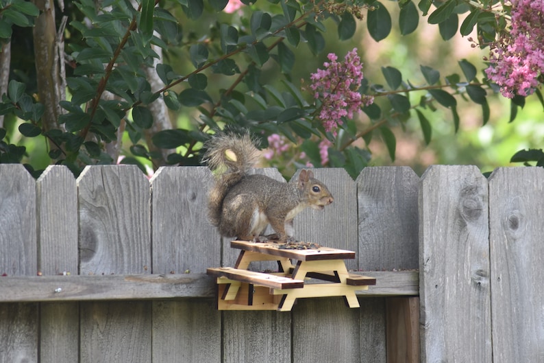 Squirrel Picnic Table With Mounting Kit - Etsy