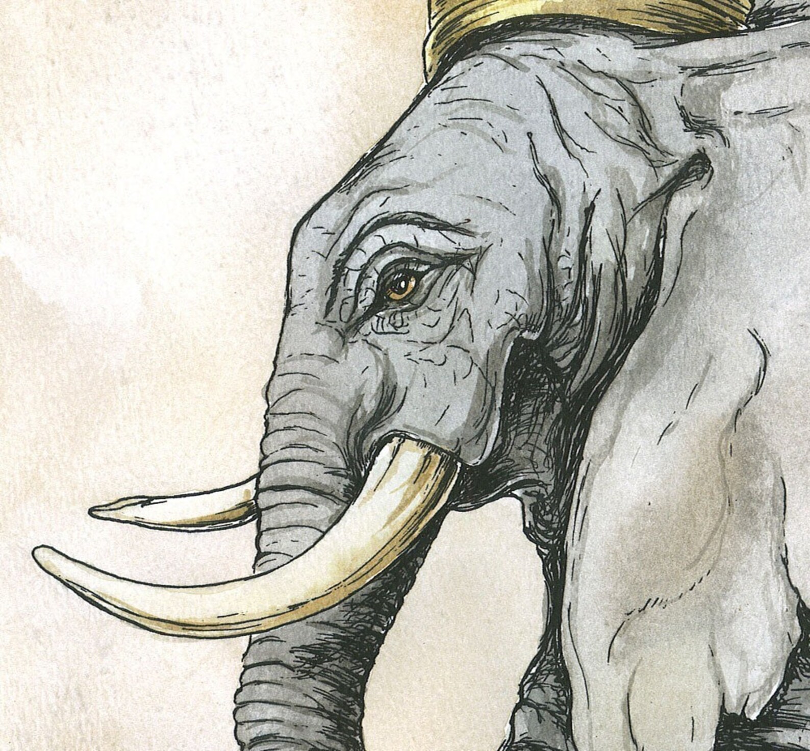 Elephant King an Original 8x10 Hand Painted King - Etsy