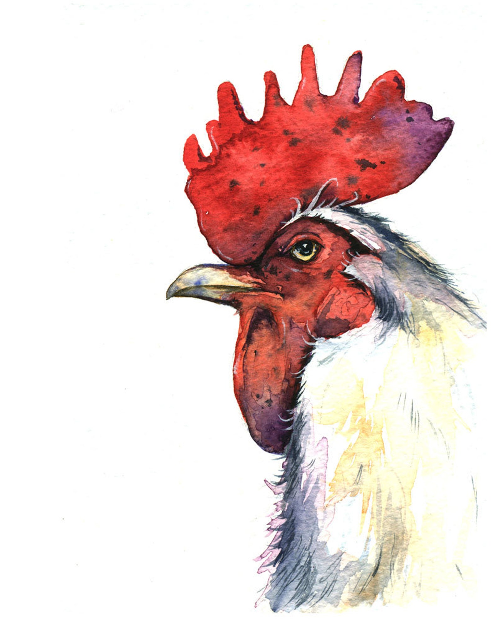 Yet Another Esteemed White Rooster - Watercolor Print - Etsy