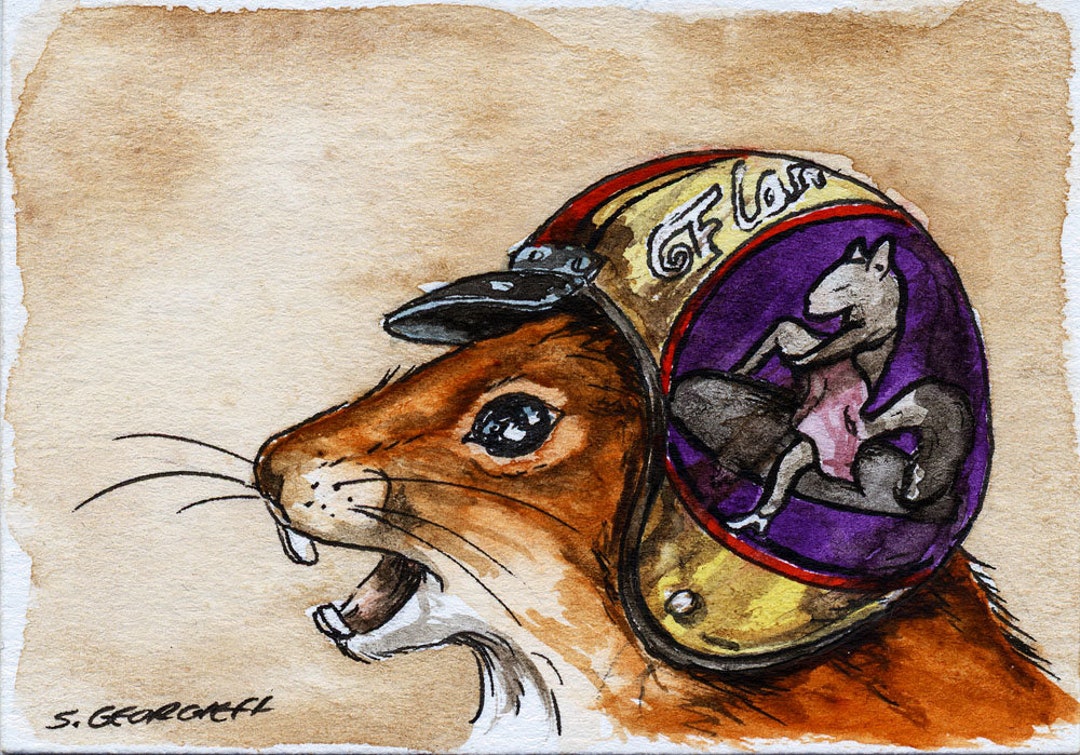 Chopper a Red Tail Squirrel -- Signed Watercolor Print - Etsy UK