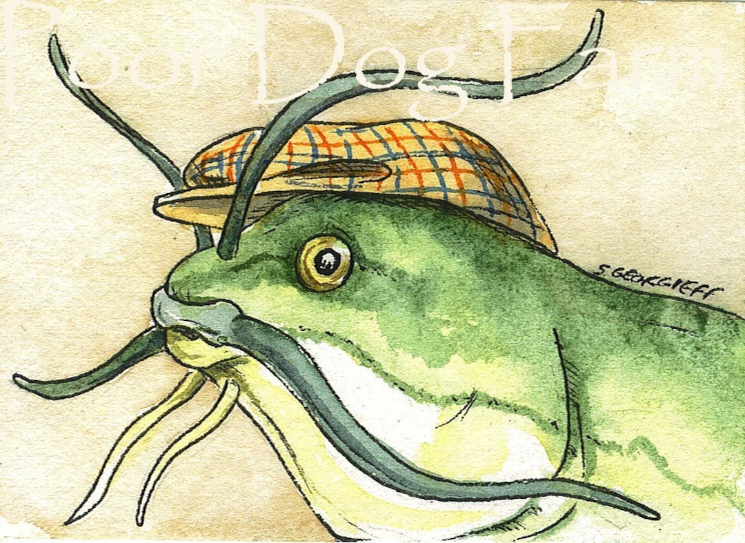 Bullhead Catfish in a Hat - Etsy