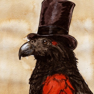 A Dark Little Gothic Dracula Parrot (an Original Hand Painted Little ...