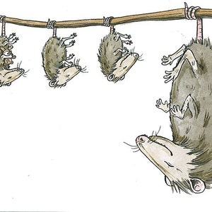 Good Night Possum - Etsy