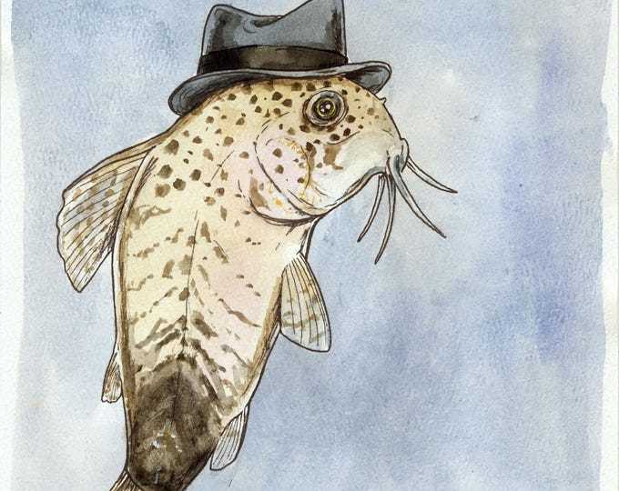 Cory Catfish A4 Print - Corydoras Illustration - Fish Wall Art - Etsy.de