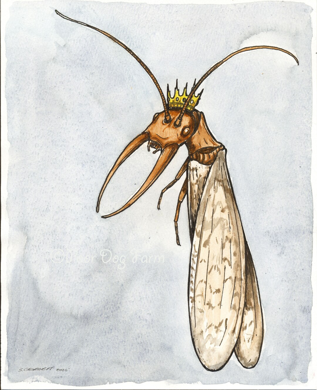 A Weird Dobsonfly King (an Original Hand Painted King) - Etsy