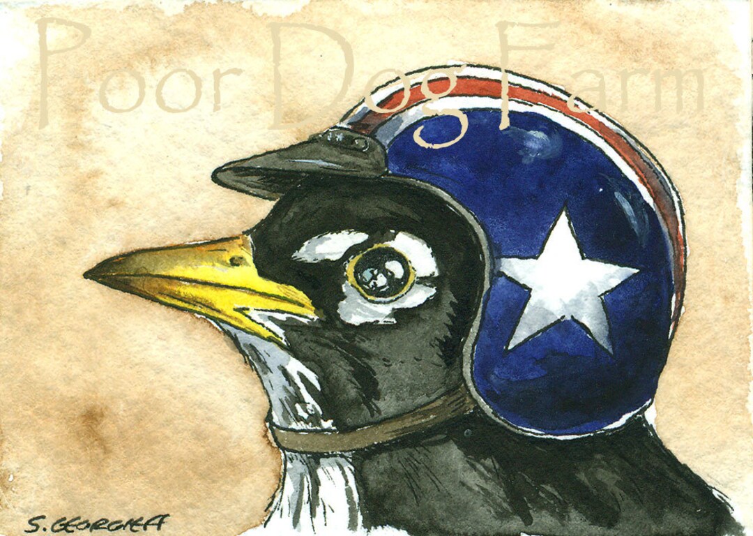 All American Robin a Biker Helmet - Etsy
