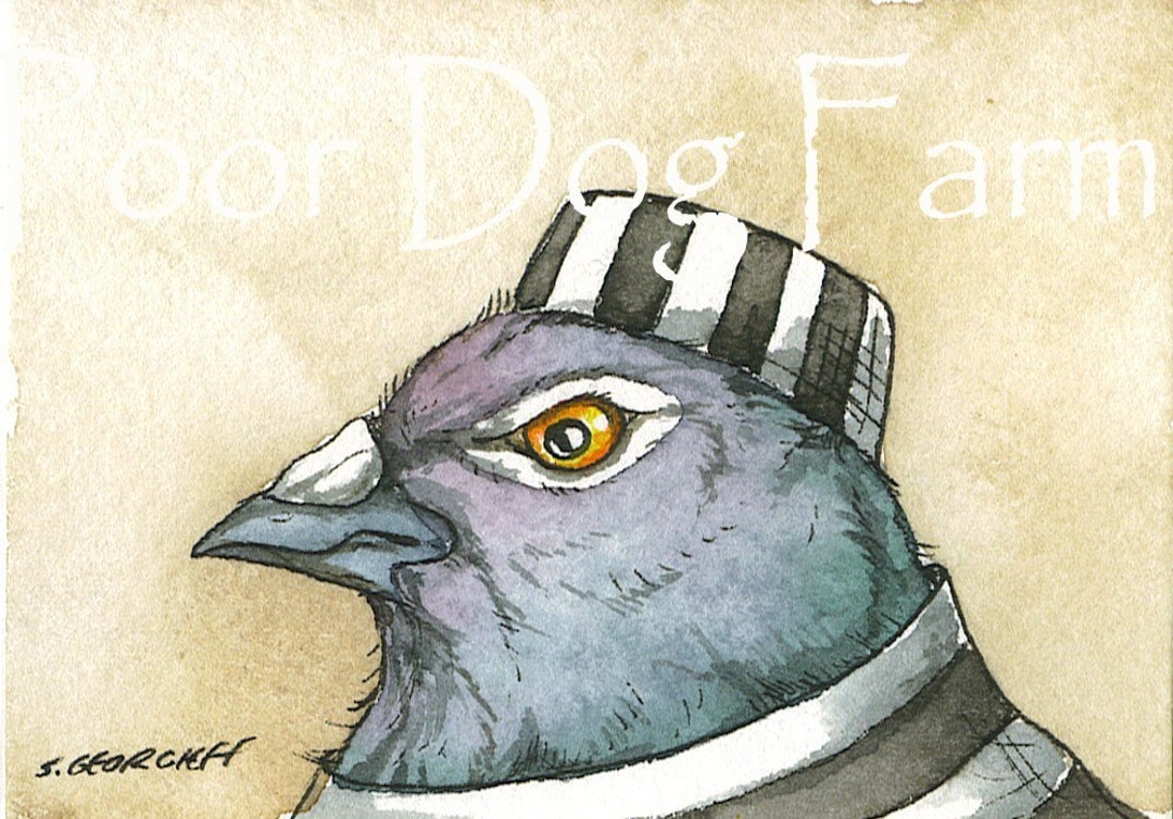 JAILBIRDS - Inmate N0. 4- Pigeon's Brother, Pigeon - Etsy