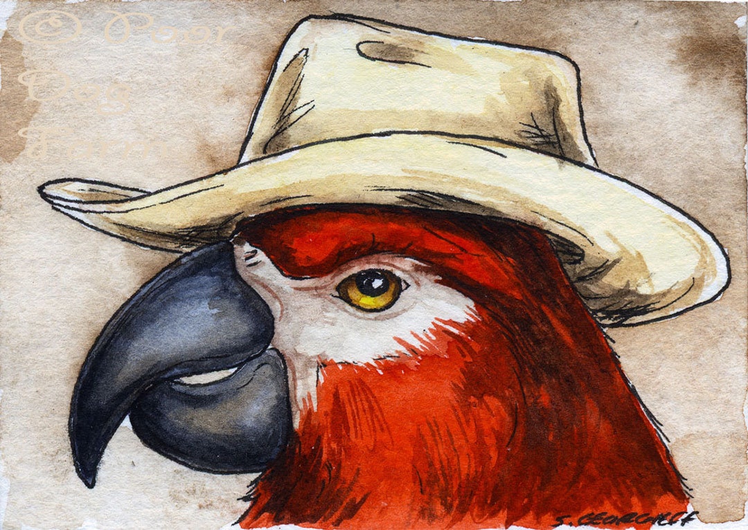 The Cuban Macaw~~ No 69 of 100 Series- ~ Signed Watercolor Print - Etsy
