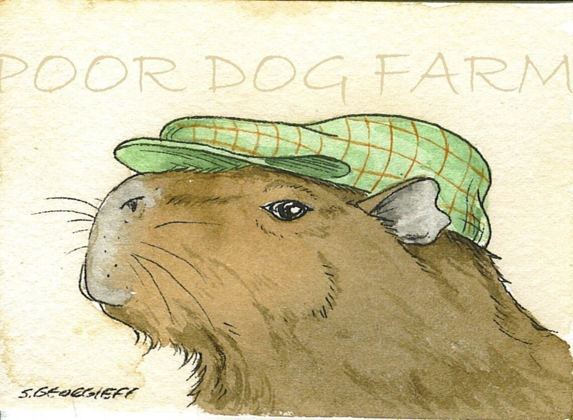 A Handsome Capybara with hat 5x7 print | Etsy