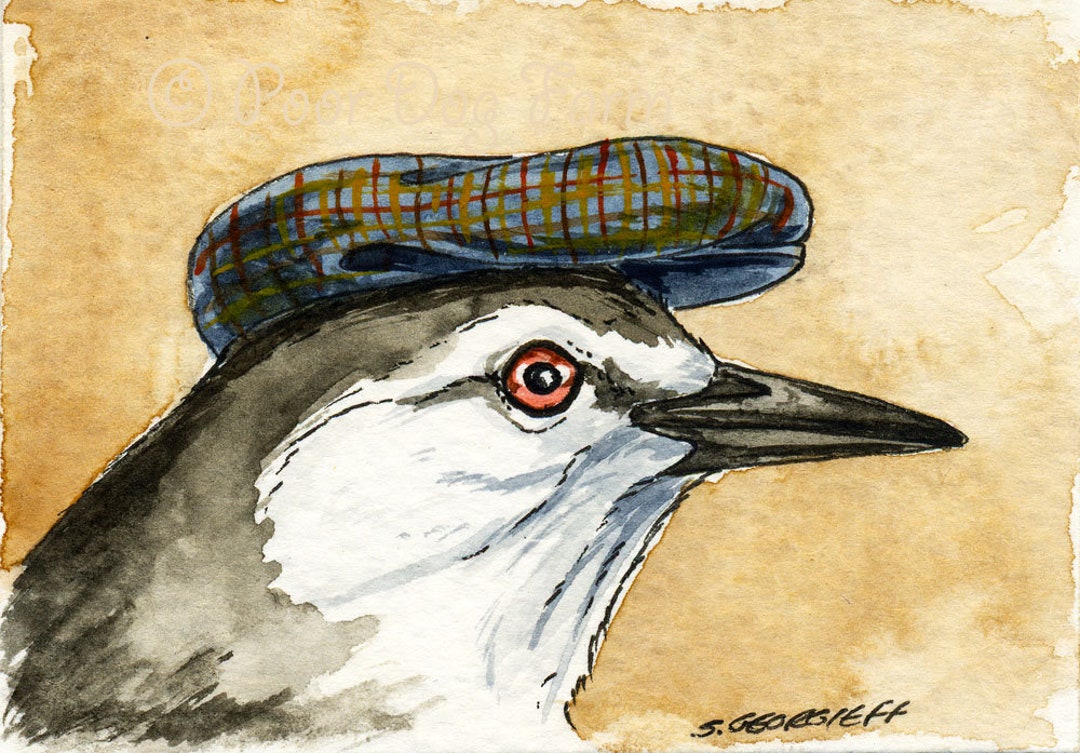 The Lord Howe Gerygone ~~ No 87 of 100 Series- ~ Signed Watercolor ...