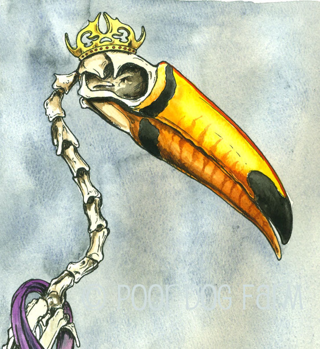 Toucan Skull King - Etsy