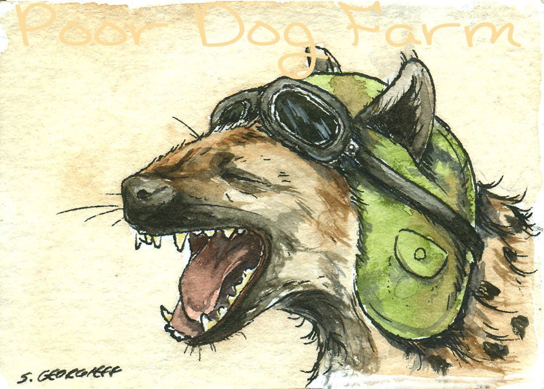 Laughing Hyena in a Aviator Hat- Prints - Etsy