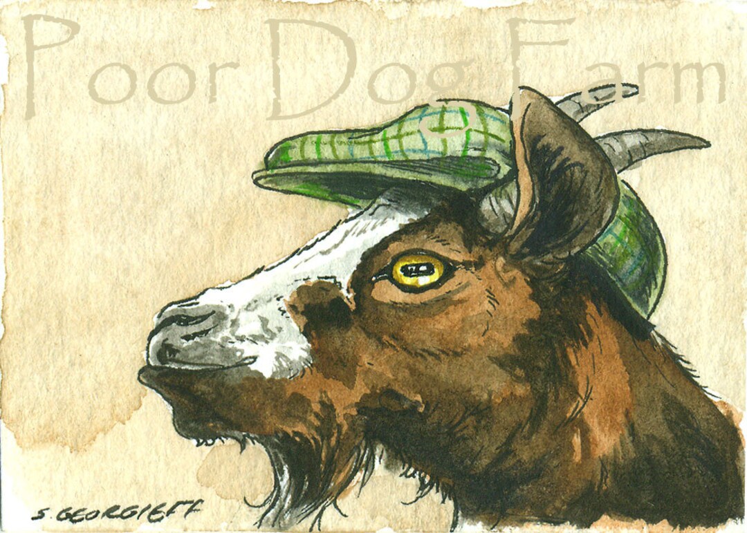 A Nobby Goat in a Hat - Etsy