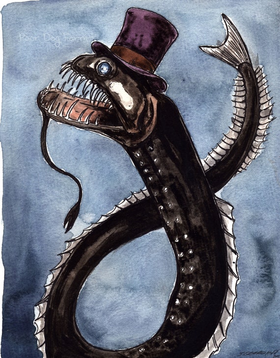 Black Dragonfish