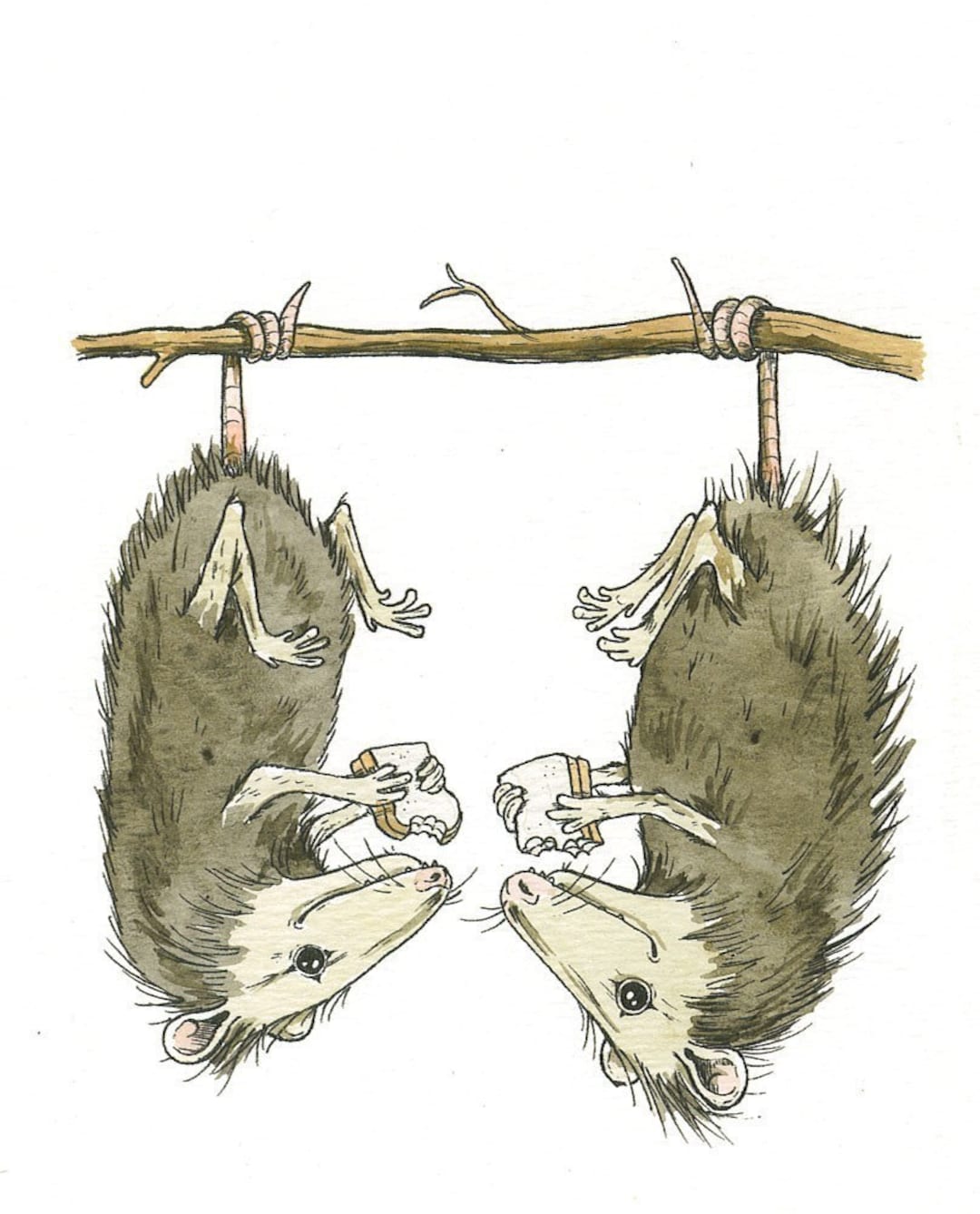 Possum Lunch Break 8 X 10 - Etsy